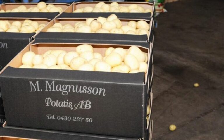 Om oss - M Magnusson Potatis AB